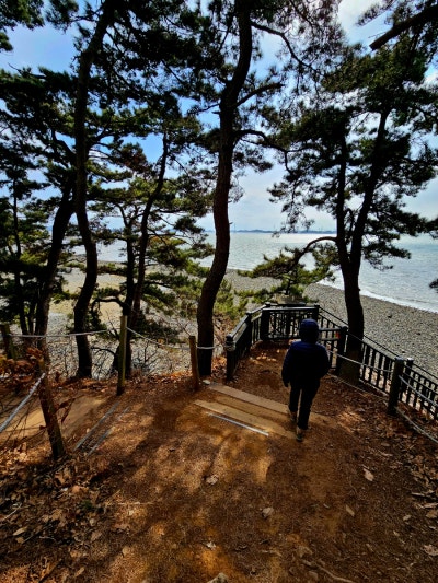 경기 안산 대부도 대부해솔길1코스 구봉도 구간 트레킹원점회귀 49km 1시간40분 소요 네이버 블로그