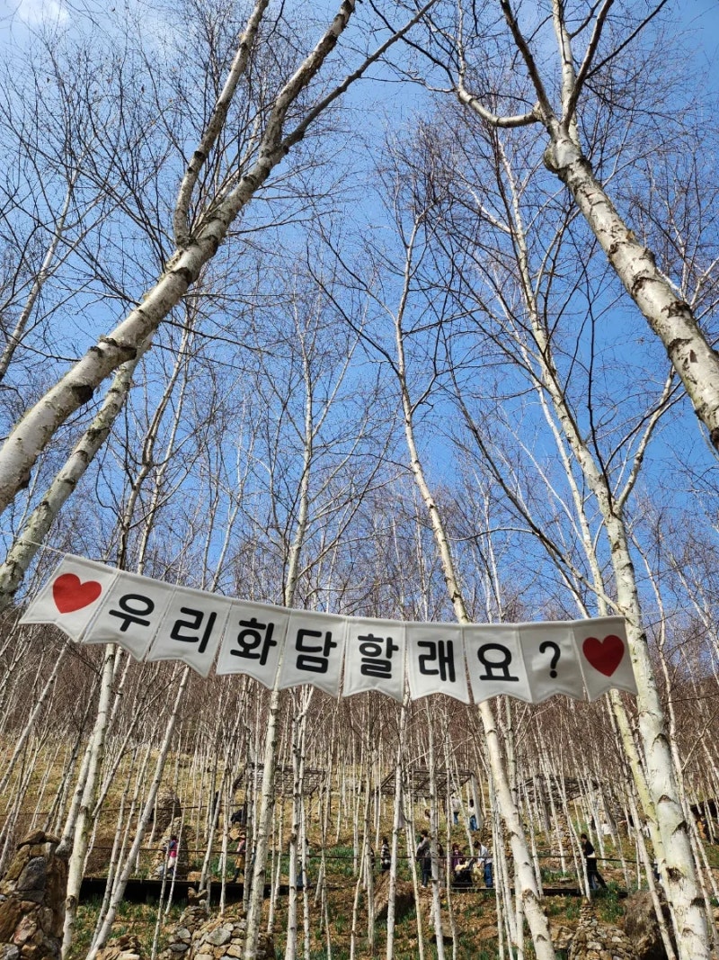 화담숲 화담숲 봄 수선화 축제 3월 30일 방문후기 화담숲 벚꽃 개화 시기 주차 입장시간 번지없는 주막 Sini