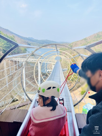 보성 제암산자연휴양림 아이랑 갈만한곳 방문 후기 곰썰매에코어드벤쳐 네이버 블로그