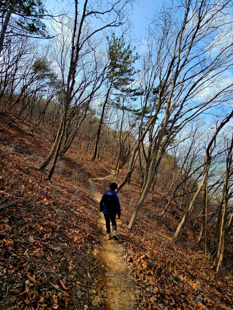경기 안산 대부도 대부해솔길1코스 구봉도 구간 트레킹원점회귀 49km 1시간40분 소요 네이버 블로그