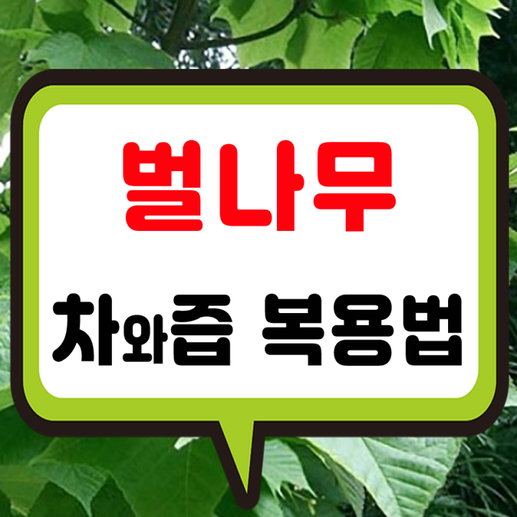 국내산 벌나무 효능과 말린 건재와 즙진액 복용법 마른 산청목 차 복용 시 부작용