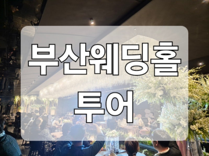 부산 목화 라온 W 웨딩시티 웨딩홀 직접 방문 후기 최종 계약 25년 대관비 공유 네이버 블로그