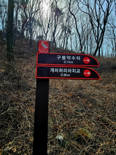경기 안산 대부도 대부해솔길1코스 구봉도 구간 트레킹원점회귀 49km 1시간40분 소요 네이버 블로그