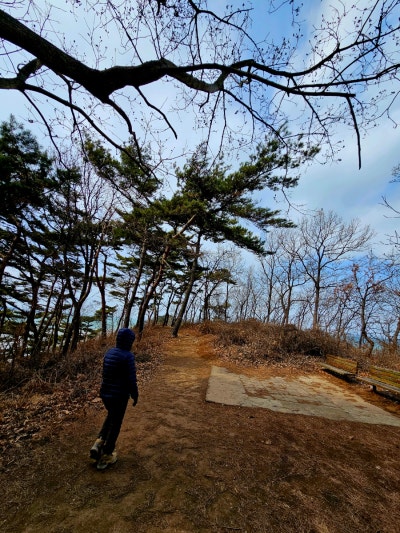 경기 안산 대부도 대부해솔길1코스 구봉도 구간 트레킹원점회귀 49km 1시간40분 소요 네이버 블로그