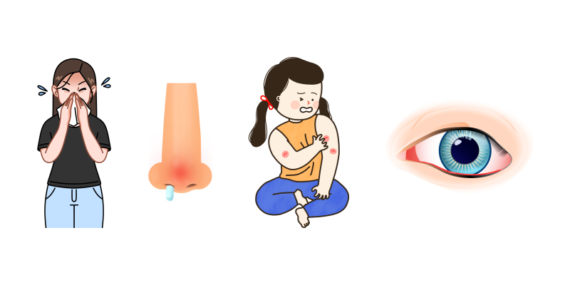 플로라딘연질캡슐로라타딘 복용법 가격 효능 부작용 임산부 네이버 블로그