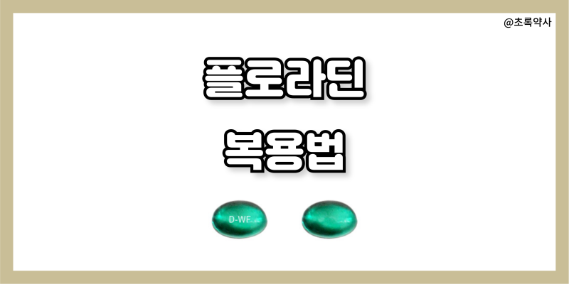 플로라딘연질캡슐로라타딘 복용법 가격 효능 부작용 임산부 네이버 블로그