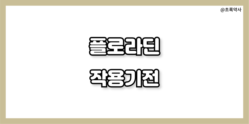 플로라딘연질캡슐로라타딘 복용법 가격 효능 부작용 임산부 네이버 블로그