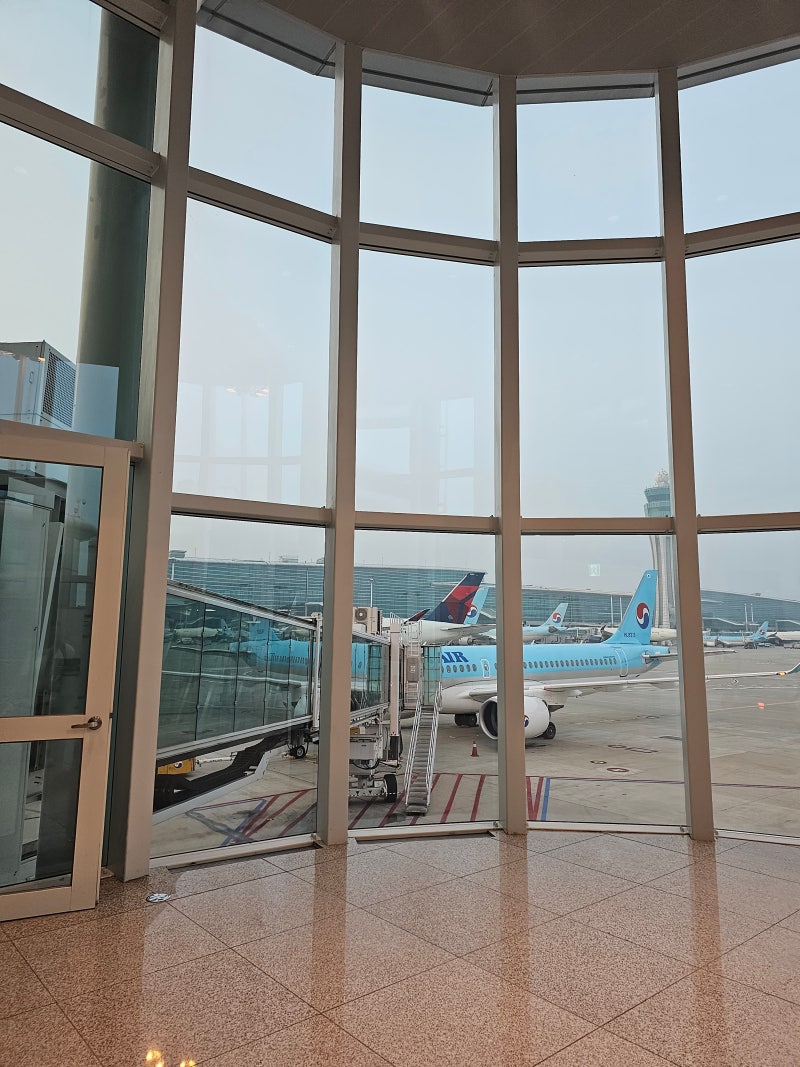 대한항공 내항기 예약 Klm 내항기 김해 인천 비행기 가격 예약방법 탑승법 후기 밀라노말펜사 공항 대한항공