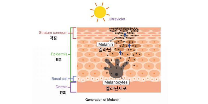 동아제약 멜라토닝크림 기미 잡티 착색 사용법 후기 가격 네이버 블로그