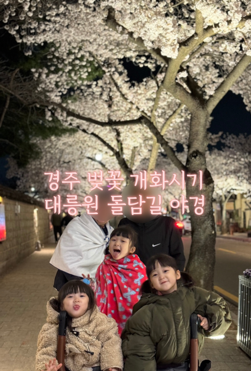 경주 벚꽃 개화시기 대릉원 돌담길 야경 유모차 데이트 여행 네이버 블로그