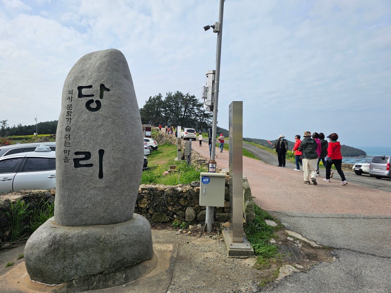 완도 청산도 배편시간 요금 유채꽃 개화 2024 슬로걷기 축제 네이버 블로그
