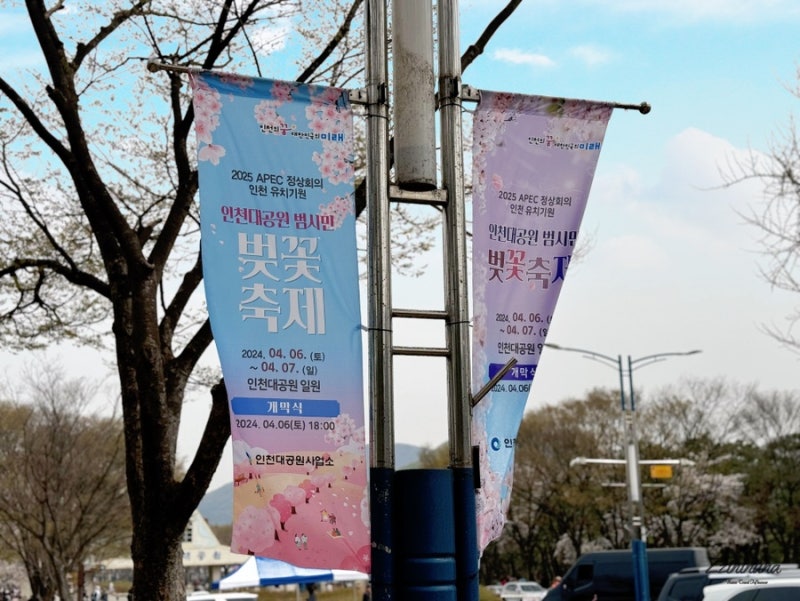 인천 벚꽃명소 인천대공원 텐트 돗자리 주차장 자전거 튤립 2024 벚꽃축제 실시간 후기 네이버 블로그
