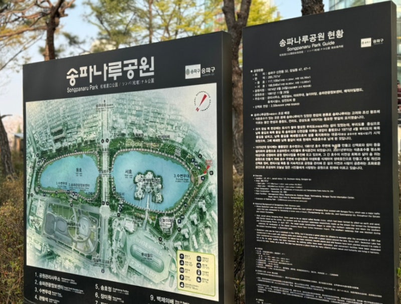 서울 벚꽃 명소 잠실 석촌호수 4월 6일 실시간 만개 현황 핑크빛 송파둘레길 네이버 블로그