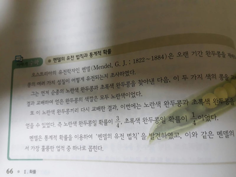 수학주제탐구보고서 고등수학 탐구주제 찾는 가장 쉬운 방법 네이버 블로그