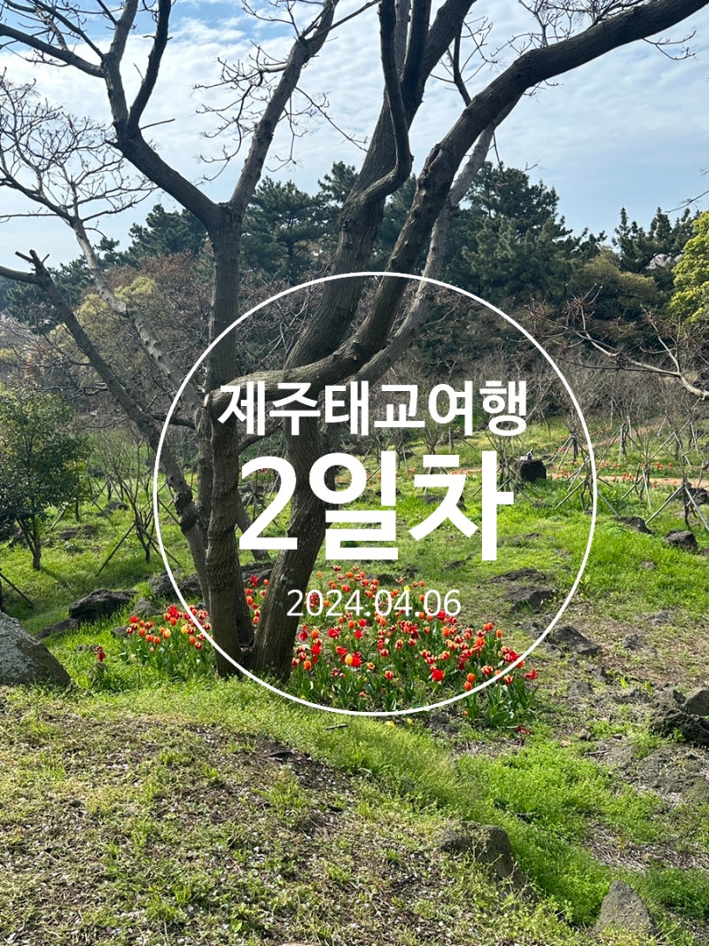 제주여행 ㅣ 태교여행2일차 도주제 동쪽송당동화마을 갈치명가 델문도 신산공원 삼성혈 그랜드하얏트제주 네이버 블로그
