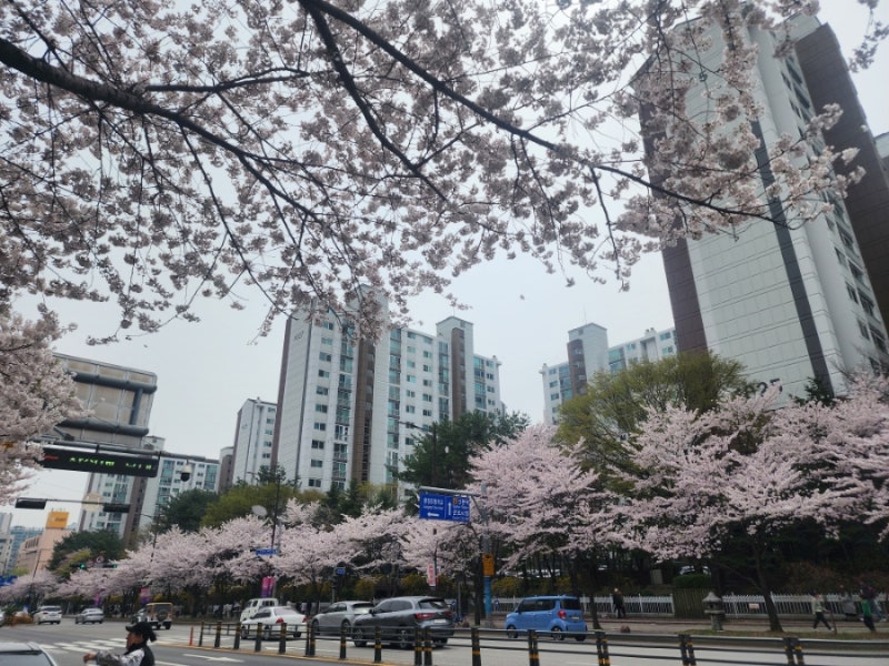 경기도 광주 근교 아이 가족 여행 곤지암반디숲, 인생2막 다시 청춘! : 네이버 블로그