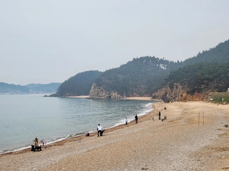 충남 태안 파도리해수욕장 해식동굴 간조 물때 주차정보 캠핑장정보 네이버 블로그
