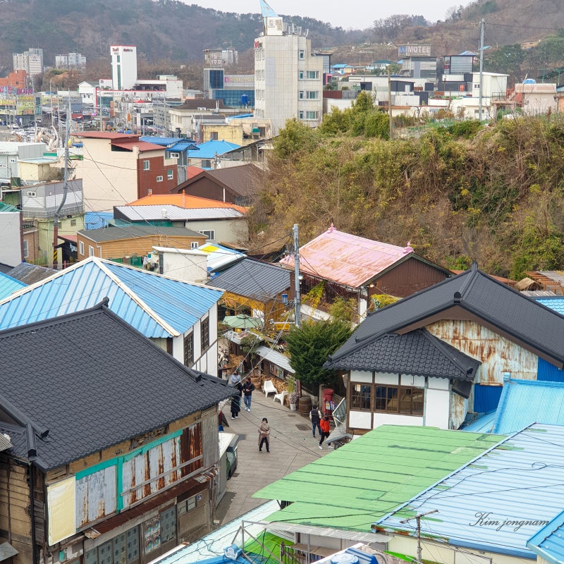 포항 구룡포 일본인 가옥거리 카페 까멜리아 동백꽃 필 무렵 촬영지 네이버 블로그