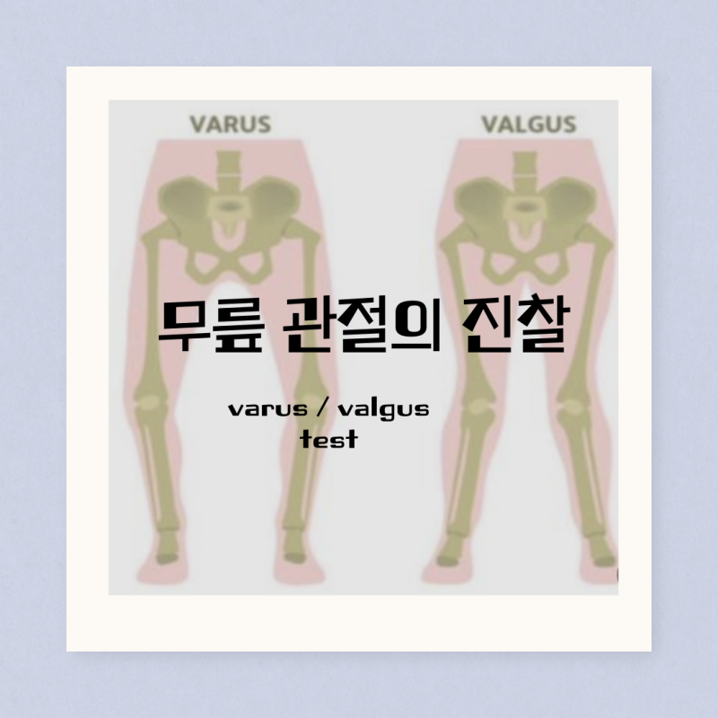 [필라테스] 무릎 관절의 질찰 (valgus/varus test, Mcmurray test, Anterior drawer ...