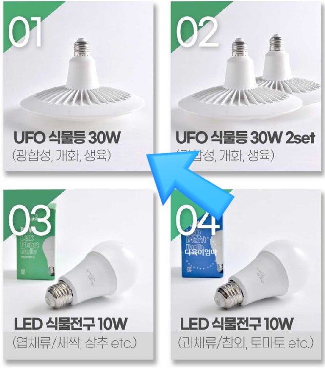 상추 키우기 물주기씨앗 모종 심기 식물등식물led 네이버 블로그