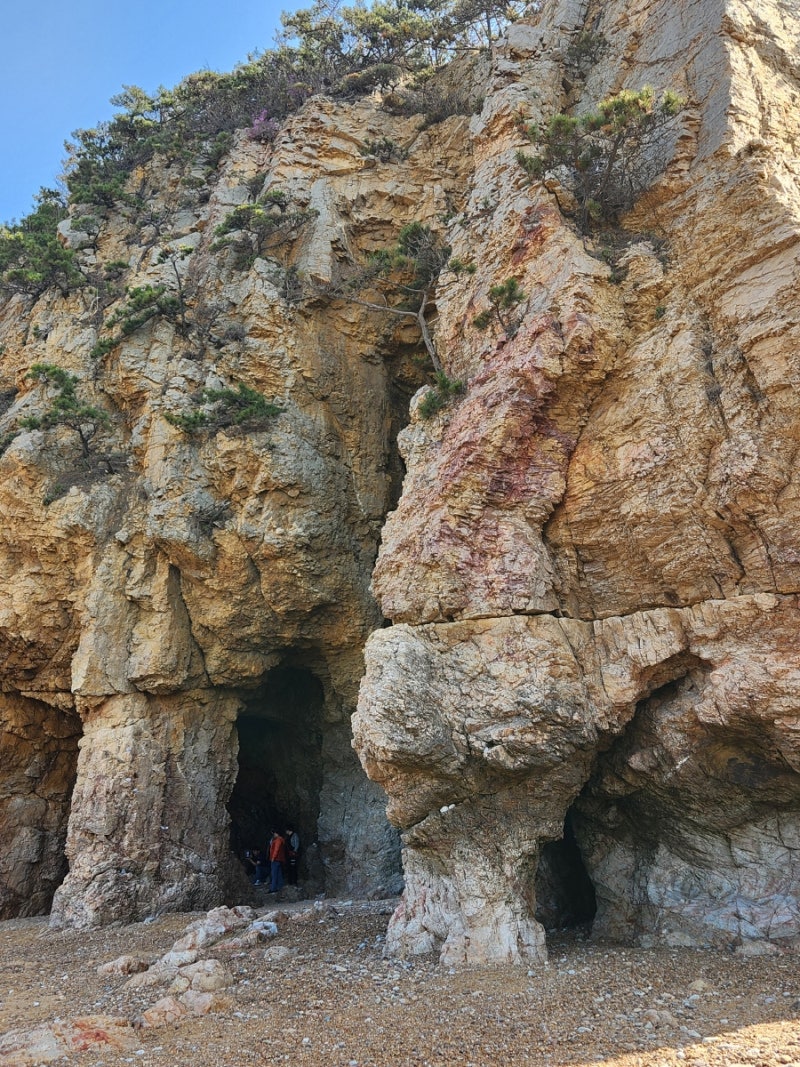 충남 태안 파도리해수욕장 해식동굴 간조 물때 주차정보 캠핑장정보 네이버 블로그