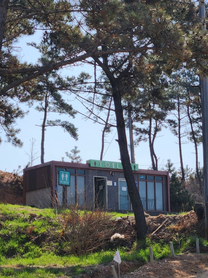 충남 태안 파도리해수욕장 해식동굴 간조 물때 주차정보 캠핑장정보 네이버 블로그