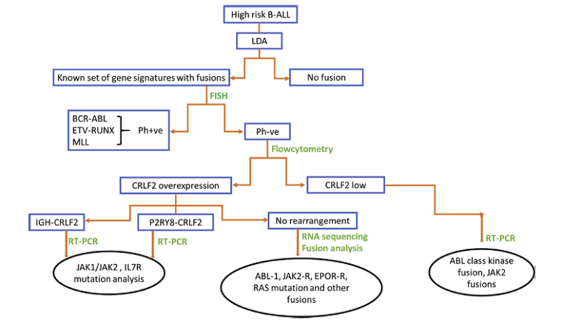 필라델피아 염색체-유사 급성림프모구백혈병(Ph-like ALL, BCR/ABL1–like ALL)에 대한 이해 : 네이버 블로그