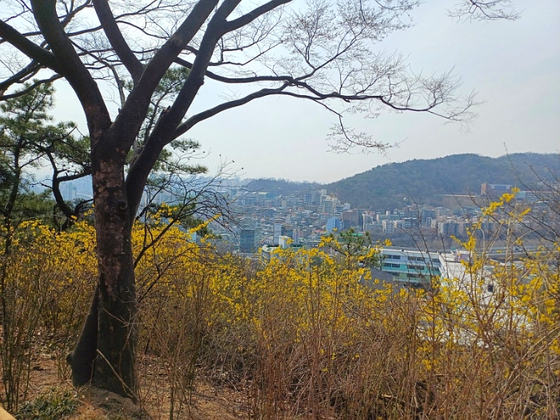 안산 황토길 맨발걷기 하기 좋은 서대문 황톳길 힐링장소 인기 네이버 블로그