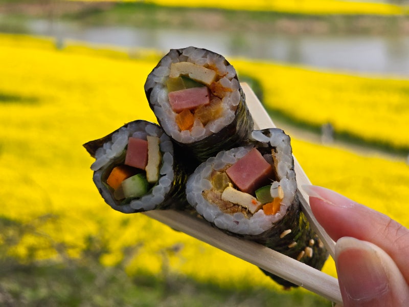 광주 피크닉 나들이 도시락 진월동 김밥 찡찡꼬마김밥 네이버 블로그