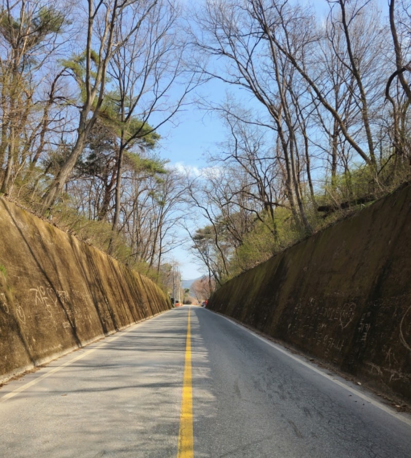 단양 가볼만한 곳 단양 이끼터널 탐방 네이버 블로그