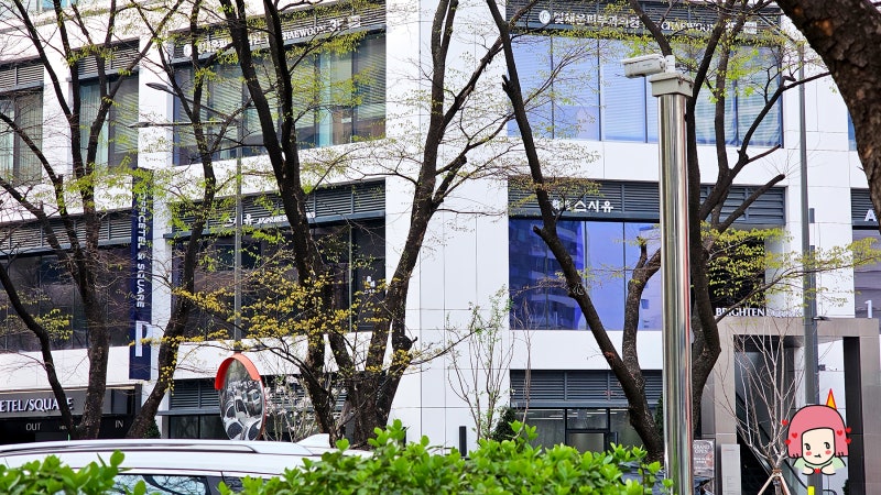 여의도 맛집 스시유 고급스러운 일식 룸식당 회식장소로 딱 네이버 블로그