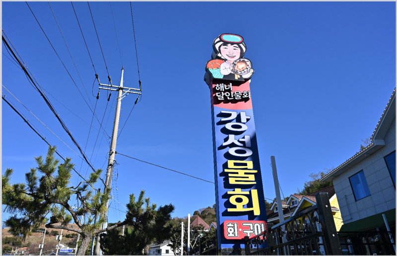 거제도 맛집 강성횟집 싱싱한 회와 해산물 맛집 네이버 블로그