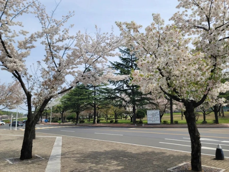 경산 한정식 맛집 은하정 영남대 벚꽃 보며 즐기는 한식 네이버 블로그