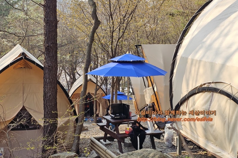 수도권 서울근교 캠핑장 경기도 숲 캠핑 장소 추천 병목안 캠핑장 놀거리 네이버 블로그