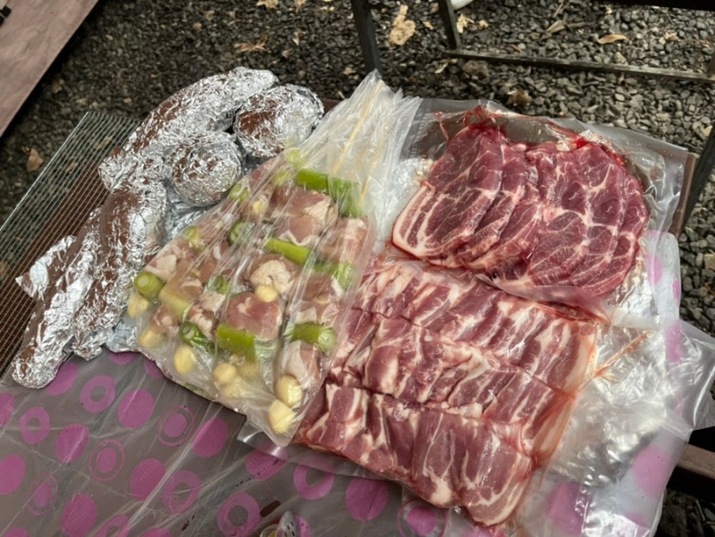 서울대공원 캠핑장 텐트 피크닉장 이용 후기 5월 예약 꿀팁 피크닉존 추천 자리 캠핑장 매점 정보 등 서울대공원 캠핑장의