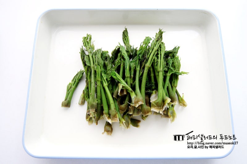 두릅무침 두릅나물무침 만드는법 참두릅 손질 데치기 참두릅요리 네이버 블로그