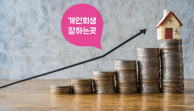 강남구 서초구 송파구 개인회생 파산 강남 서초 송파 변호사 잘하는곳