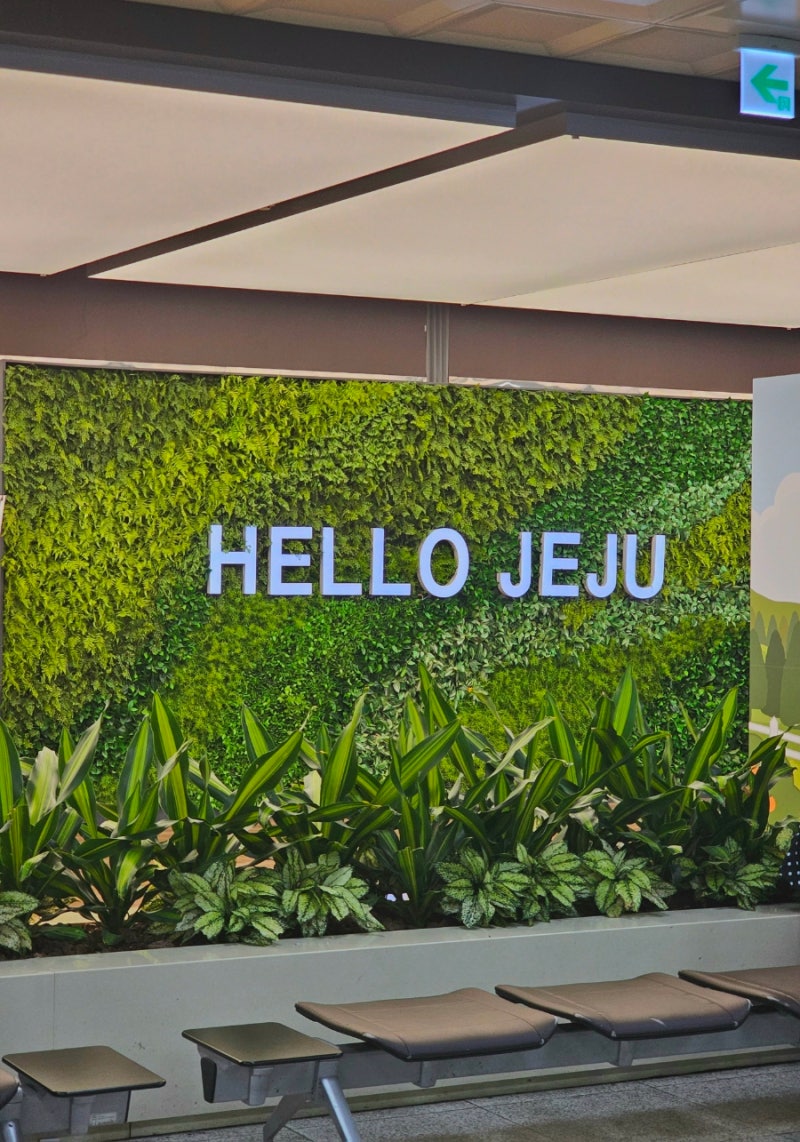 제주도 공항 선물 파리바게트 마음 샌드 가격 예약 없이 당일 구입 네이버 블로그