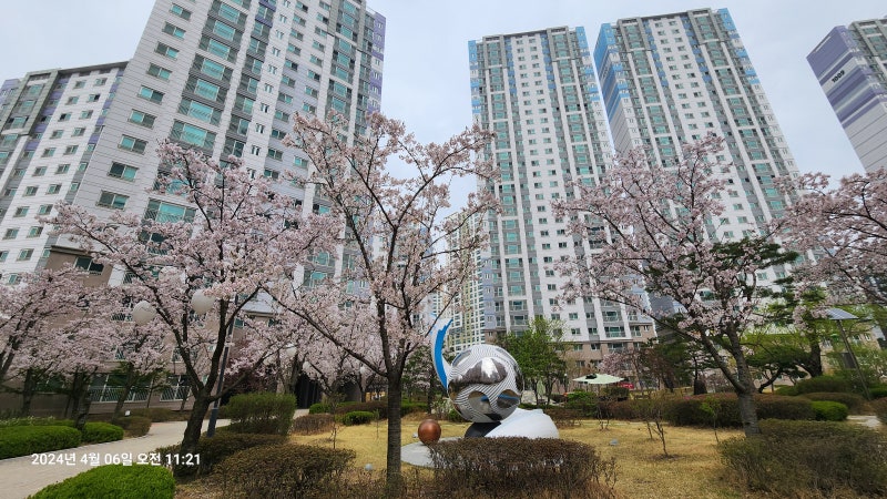 세종시 도담동 유일한 초품아 단지 도램마을10단지 호반베르디움어반시티 아파트 네이버 블로그