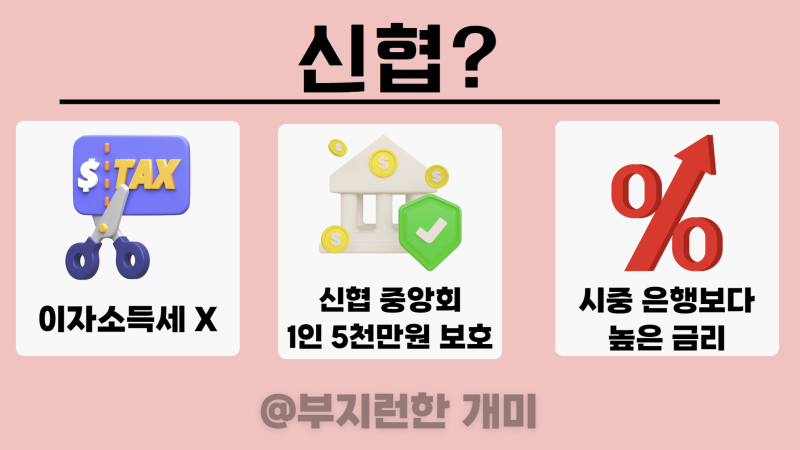 신협 정기예금 금리 높은 곳 1년 6개월 이자 비교 및 예금자보호 네이버 블로그