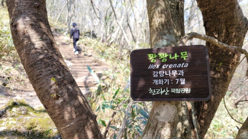 어승생악 꼭 가봐야 할 오름 한라산 탐방로 초보 코스 제주 오름 추천 네이버 블로그