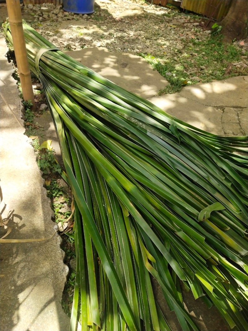 Eco-friendly Handicrafts: The Art of Filipino Pandan Leaves Weaving ...