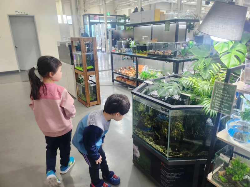 고양 하나로 플라워마트한국화훼농협 본점 일산 꽃시장 구입후기아파트 1층정원 네이버 블로그