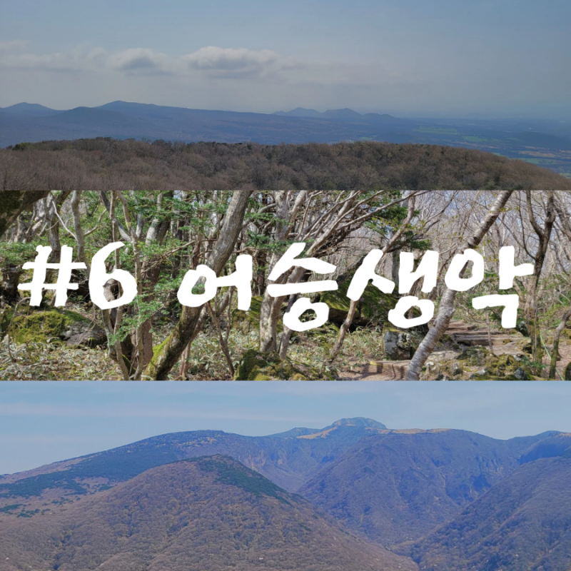 어승생악 꼭 가봐야 할 오름 한라산 탐방로 초보 코스 제주 오름 추천 네이버 블로그