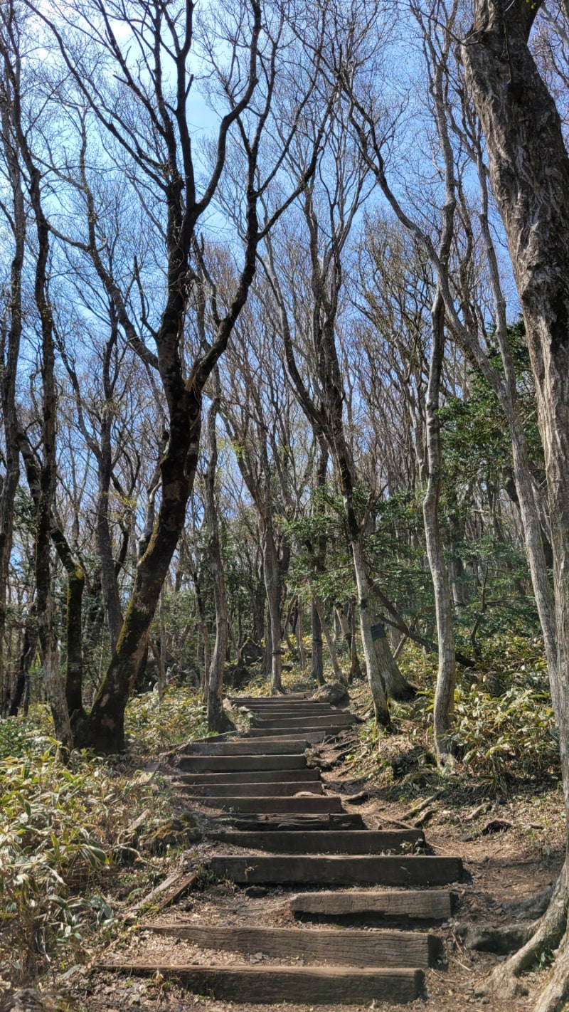 어승생악 꼭 가봐야 할 오름 한라산 탐방로 초보 코스 제주 오름 추천 네이버 블로그