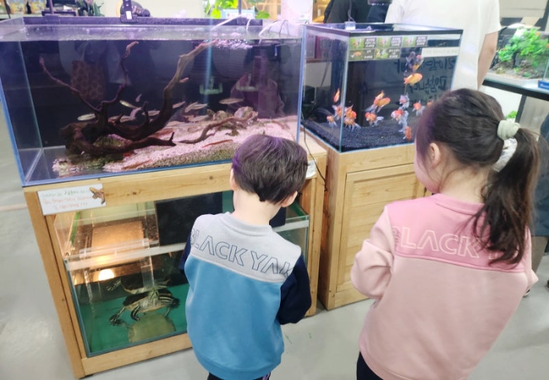 고양 하나로 플라워마트한국화훼농협 본점 일산 꽃시장 구입후기아파트 1층정원 네이버 블로그