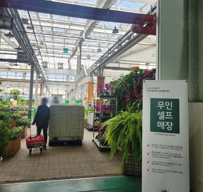 고양 하나로 플라워마트한국화훼농협 본점 일산 꽃시장 구입후기아파트 1층정원 네이버 블로그