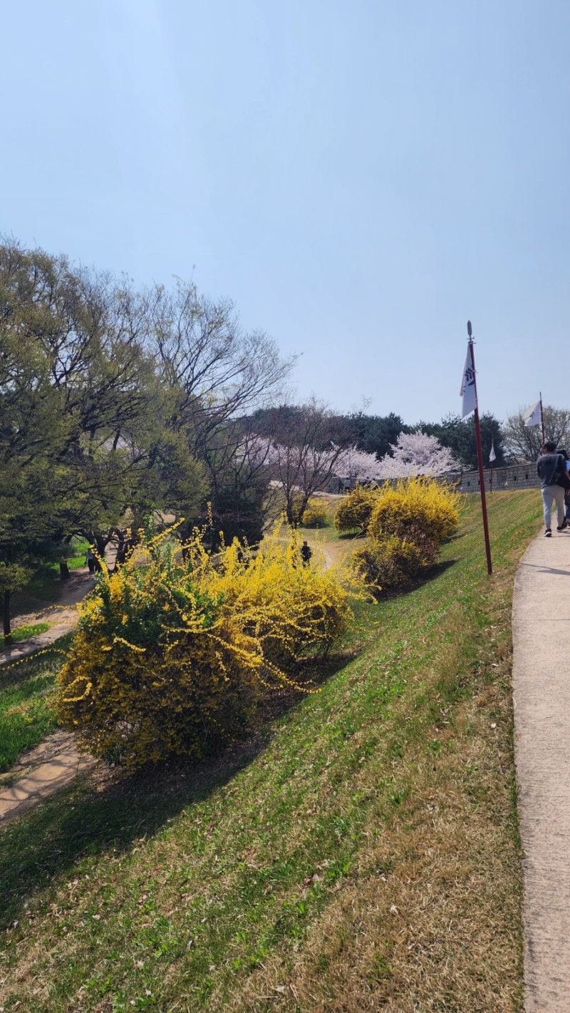 봄나들이 수원화성 팔달산 장안문 데이트코스 등산로 화성장대 약수터 네이버 블로그