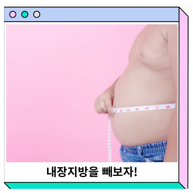 내장지방 빼는법 레벨 확인 제거 빠지는 기간 음식 피하지방 구별 네이버 블로그
