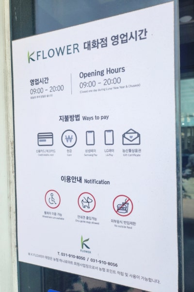 고양 하나로 플라워마트한국화훼농협 본점 일산 꽃시장 구입후기아파트 1층정원 네이버 블로그
